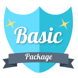 Basic SEO Package – MS Ents