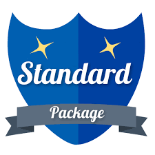 Standard SEO Package – MS Ents